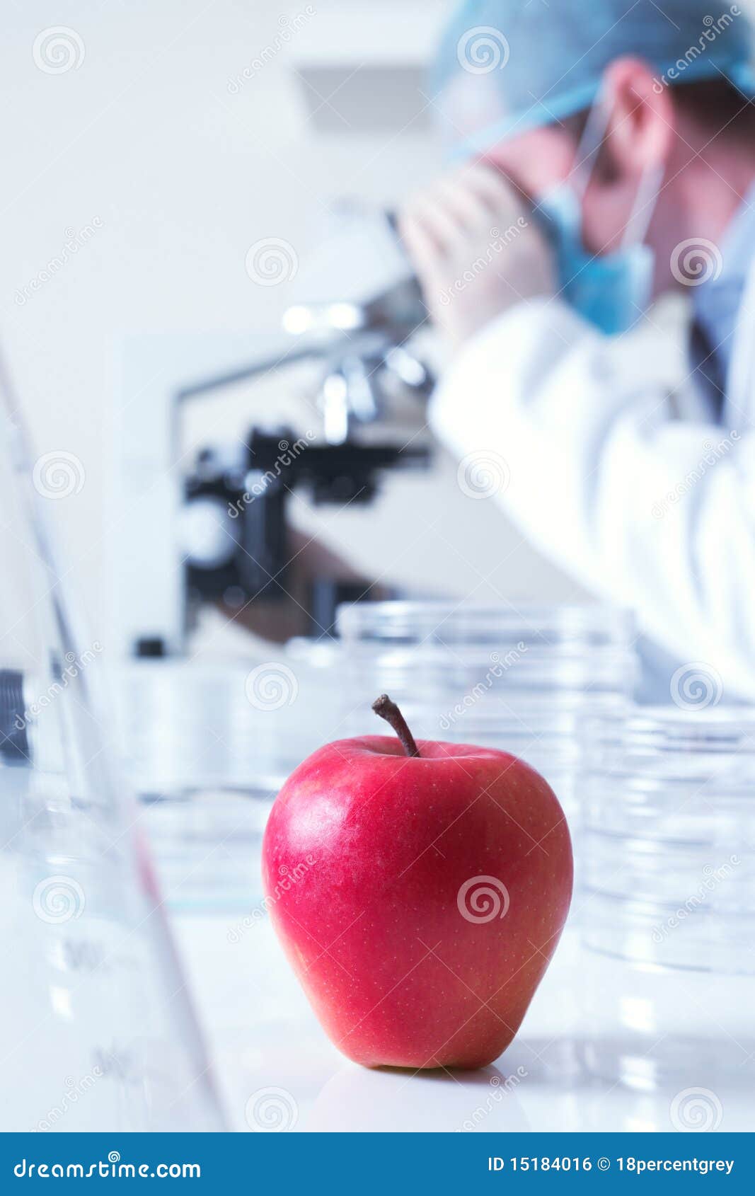 Genetically Modified Red Apple Stock Photo - Image of test, technology ...