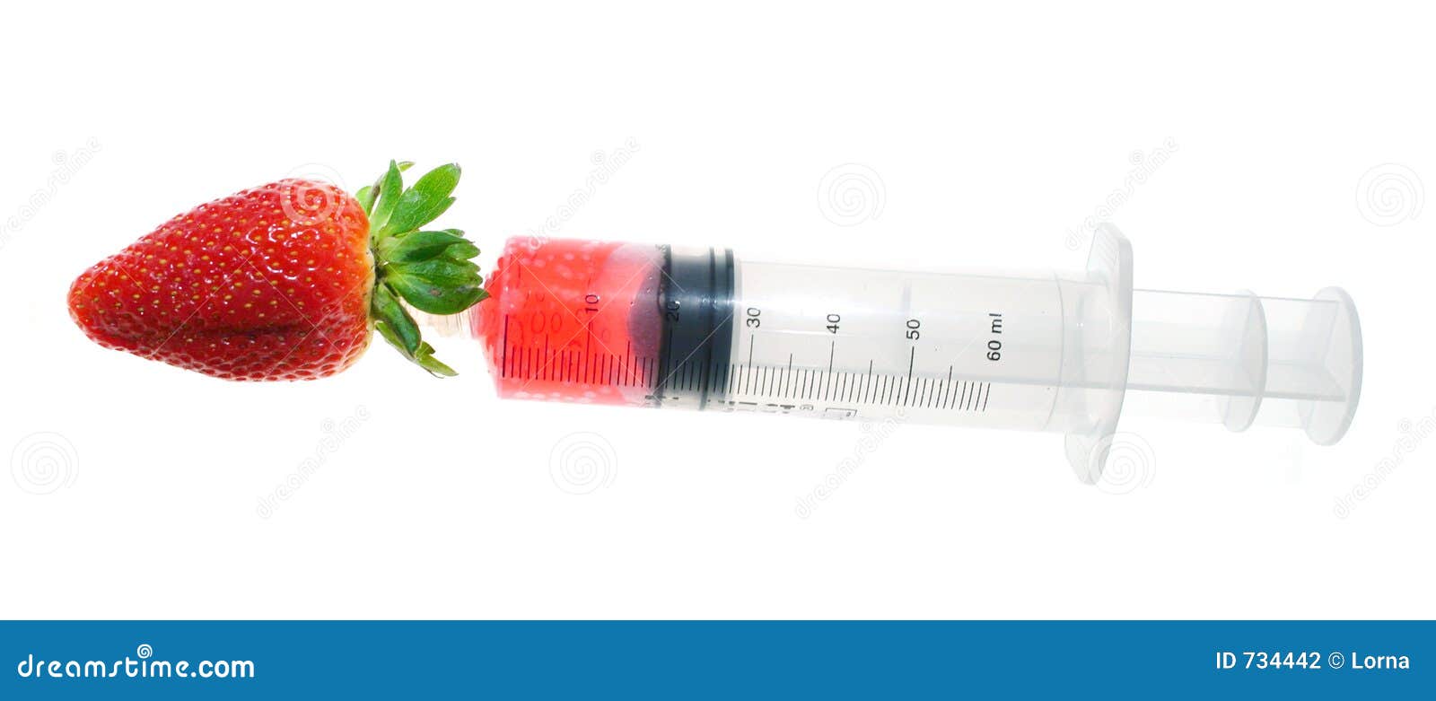 Genetically Modified Strawberry, Food Science Stock Photo - Image of ...