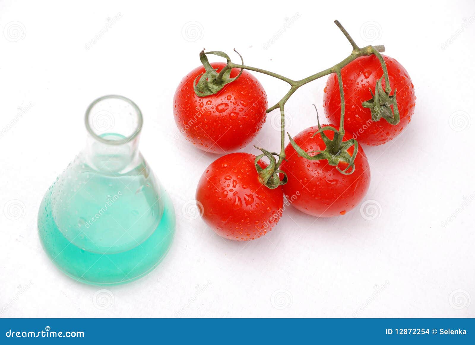Genetically-modified Tomato Stock Photo - Image of food, gourmet: 12872254