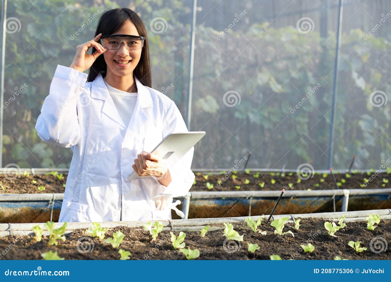 Geneticists Biologists and Scientists Holding Tablets in the Nursery ...