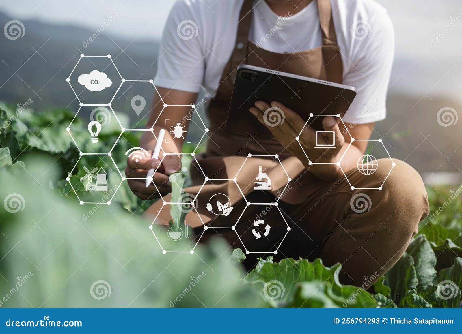 Geneticists, Biologists, and Scientists are Studying the Genetic ...