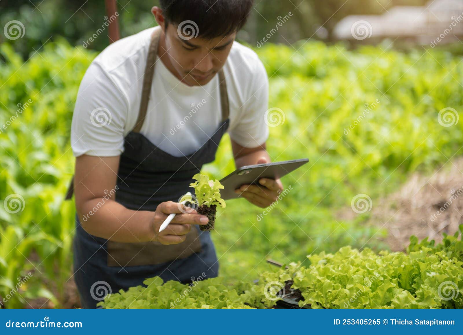 Geneticists, Biologists, and Scientists are Studying the Genetic ...