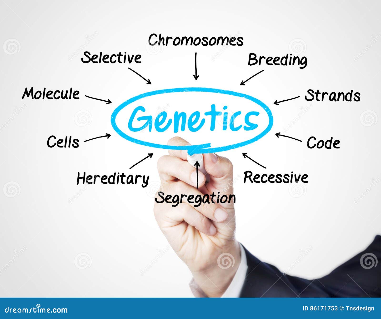 Genetics stock image. Image of molecule, genetics, medicine - 86171753
