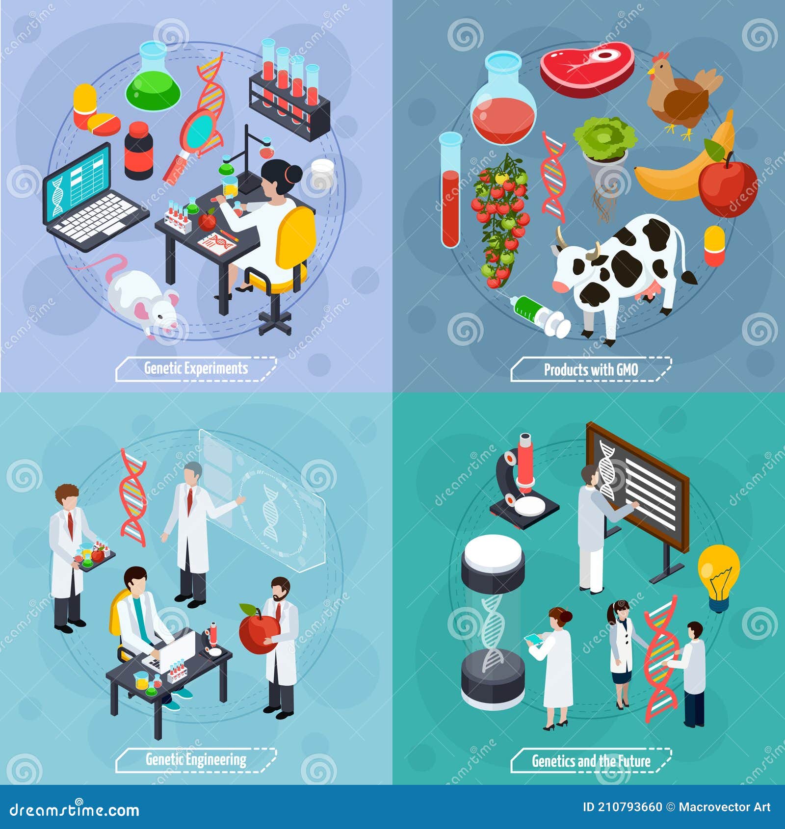 Genetics 2x2 Design Concept Stock Vector - Illustration of ...