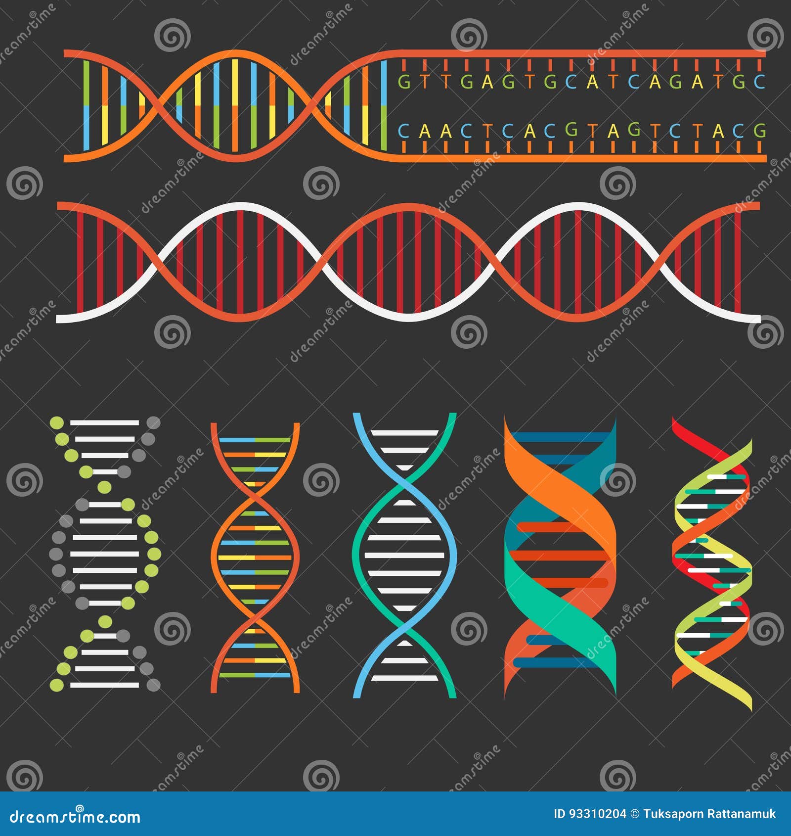 Genetics DNA structure stock vector. Illustration of biotechnology ...