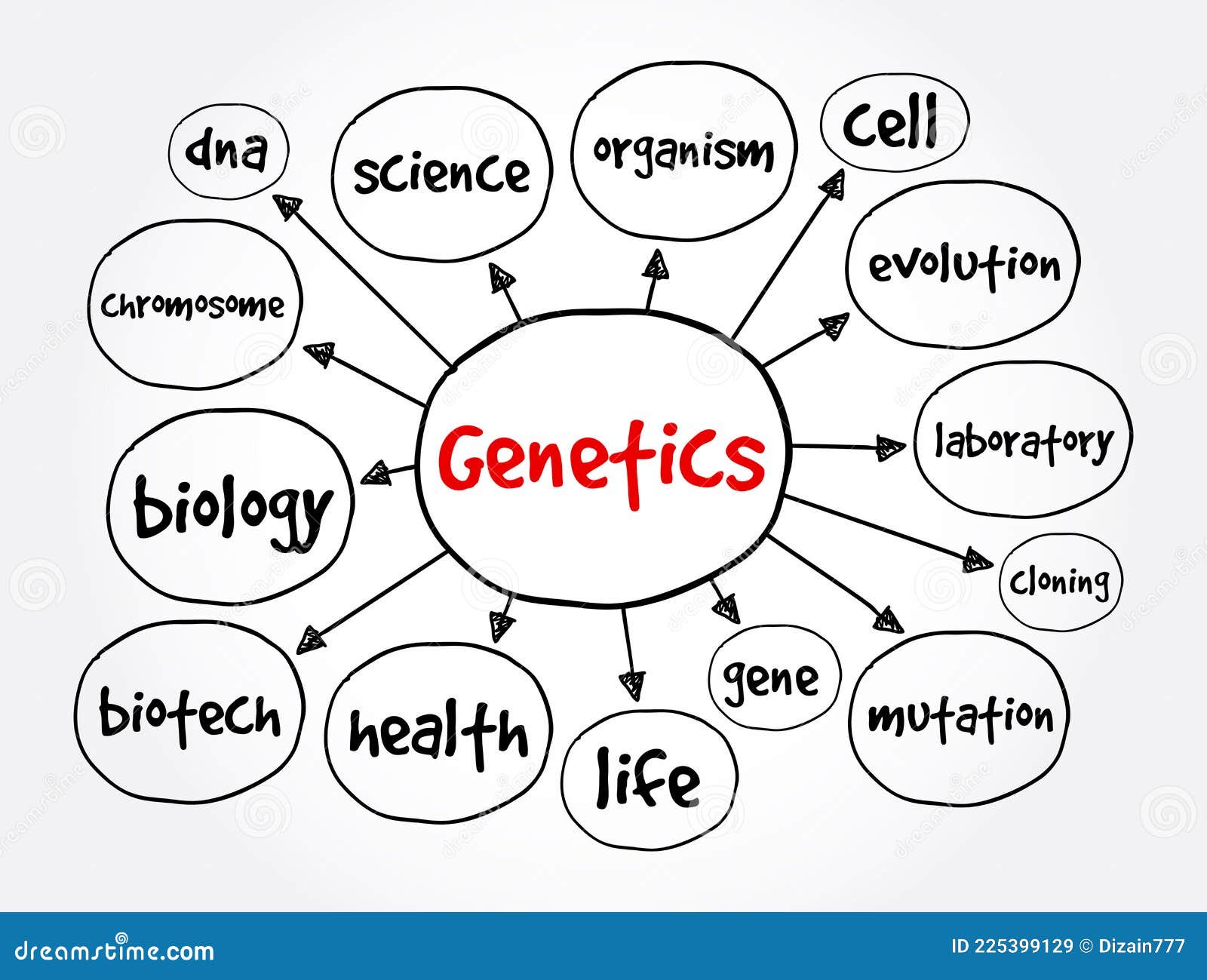 Genetics Mind Map, Medical Concept for Presentations and Reports Stock ...