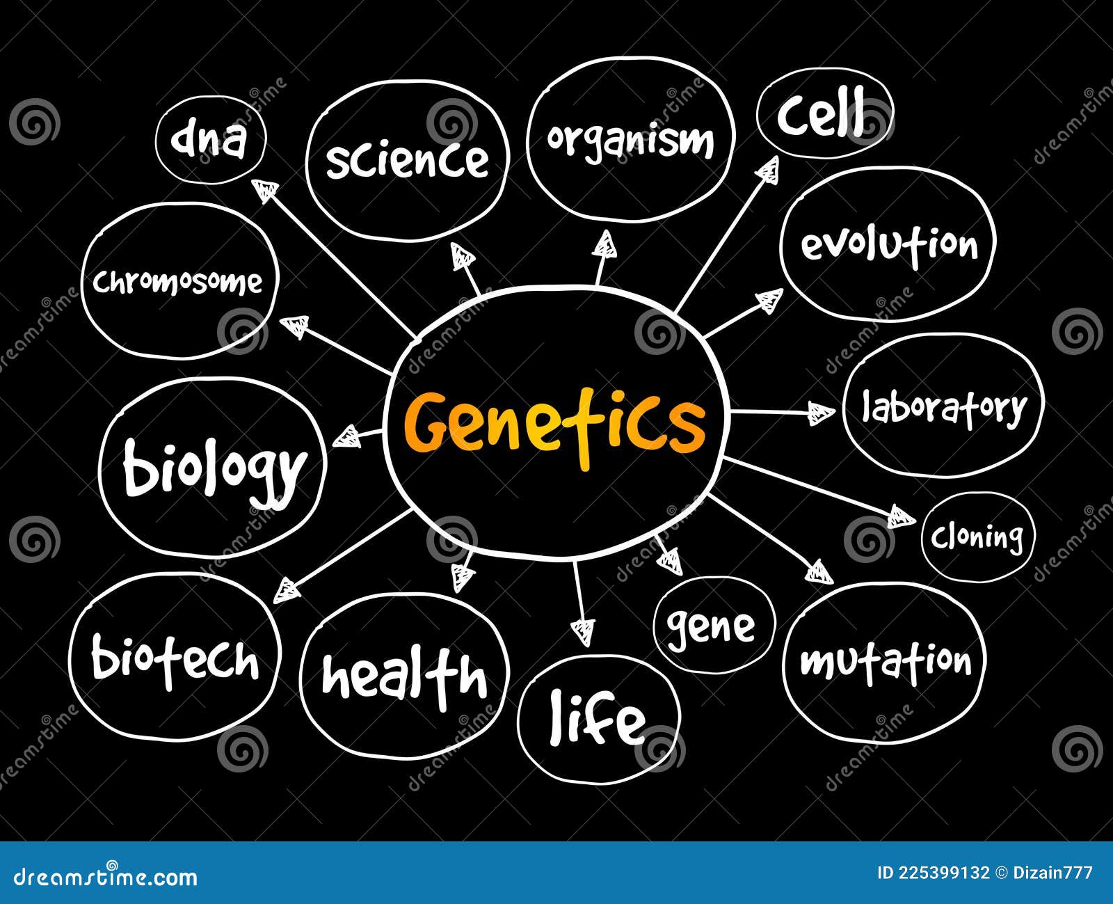 Genetics Mind Map, Medical Concept for Presentations and Reports Stock ...