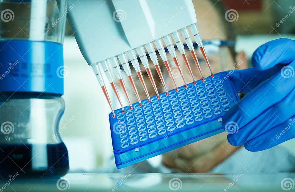 Genetics Researcher Genetic Analysis Stock Photo - Image of testing ...