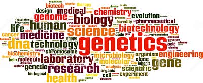 Genetics word cloud stock vector. Illustration of hereditary - 142258983