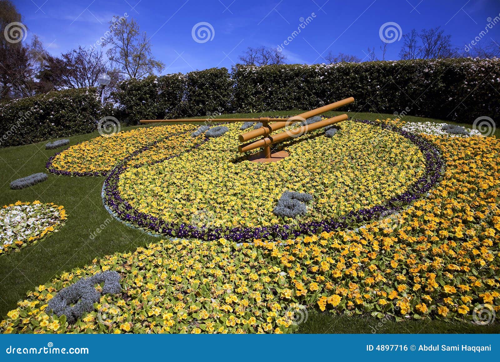 Geneva flower clock stock photo. Image of colours, background - 4897716