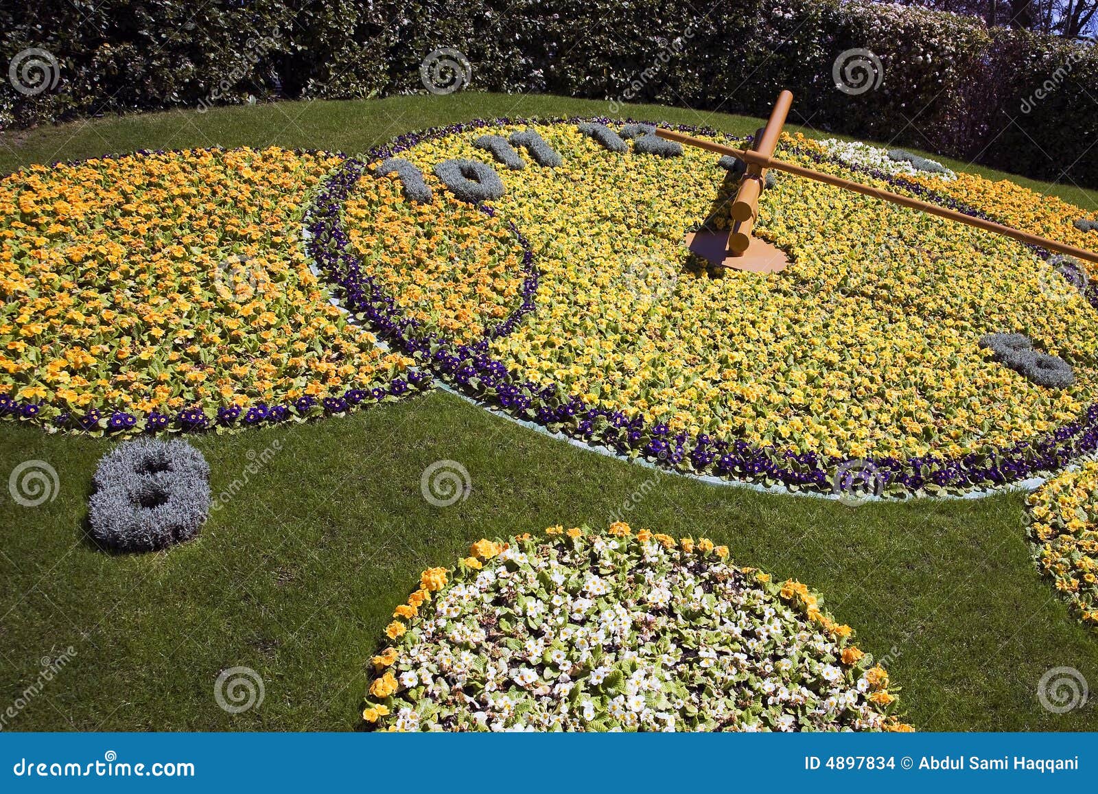 Geneva flower clock stock photo. Image of beautiful, color - 4897834