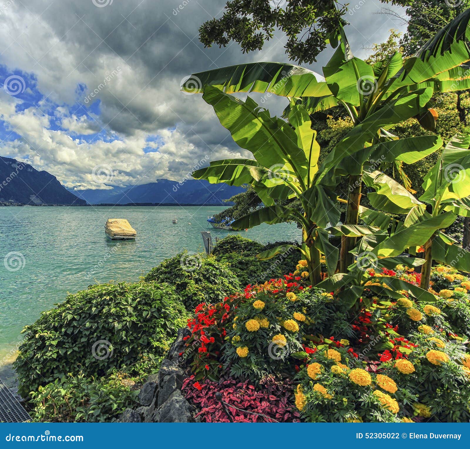 Geneva or Leman Lake, Switzerland Stock Photo - Image of travel ...