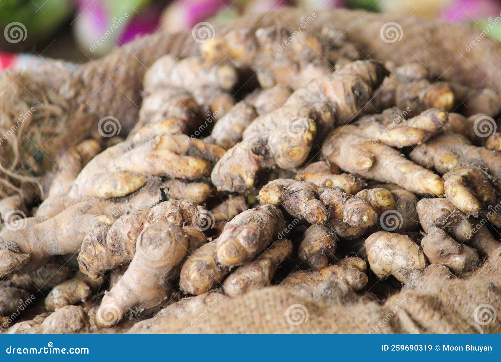 Genger stock image. Image of snack, meal, breakfast - 259690319