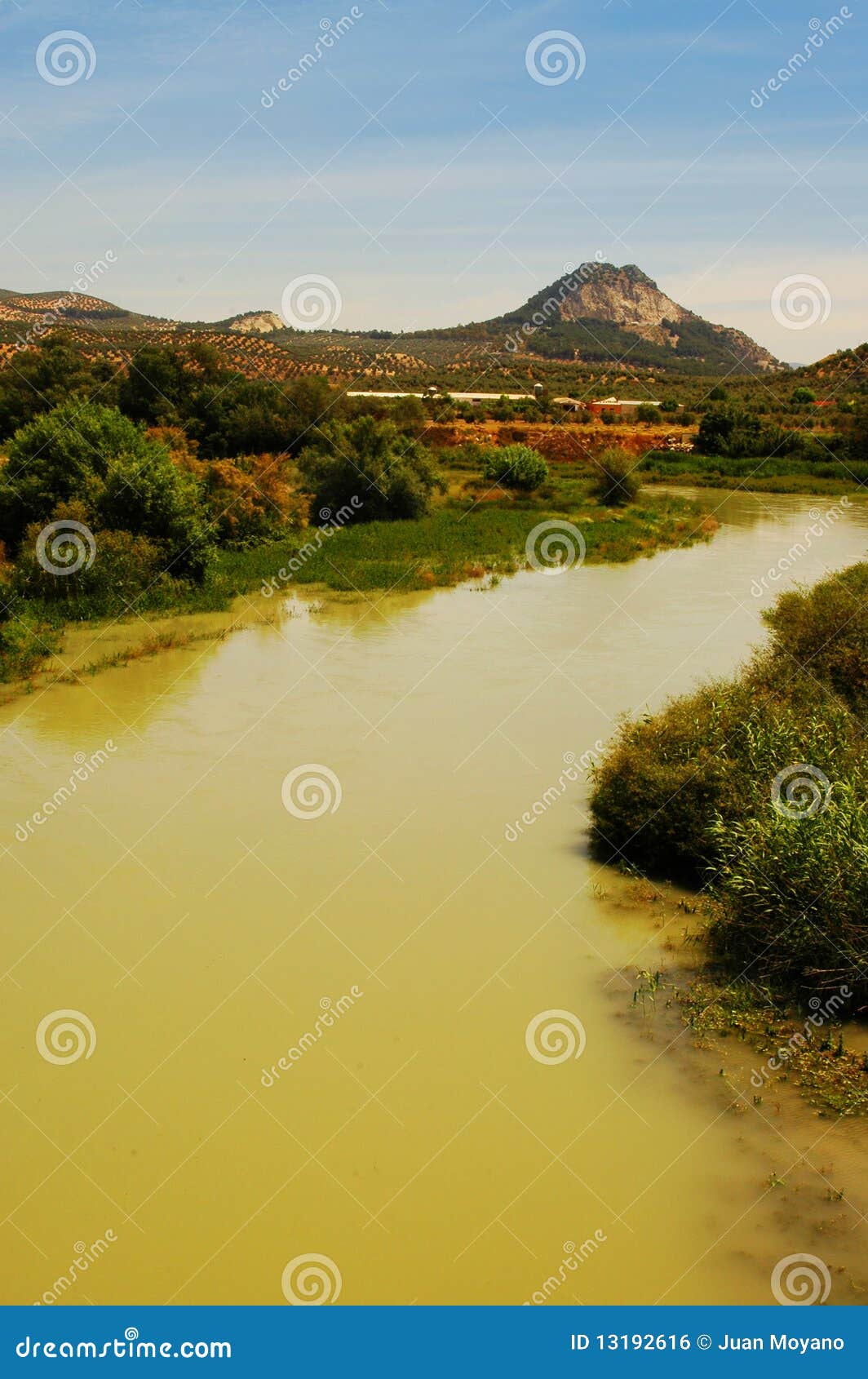 Genil river stock photo. Image of lake, tree, water, grassland - 13192616