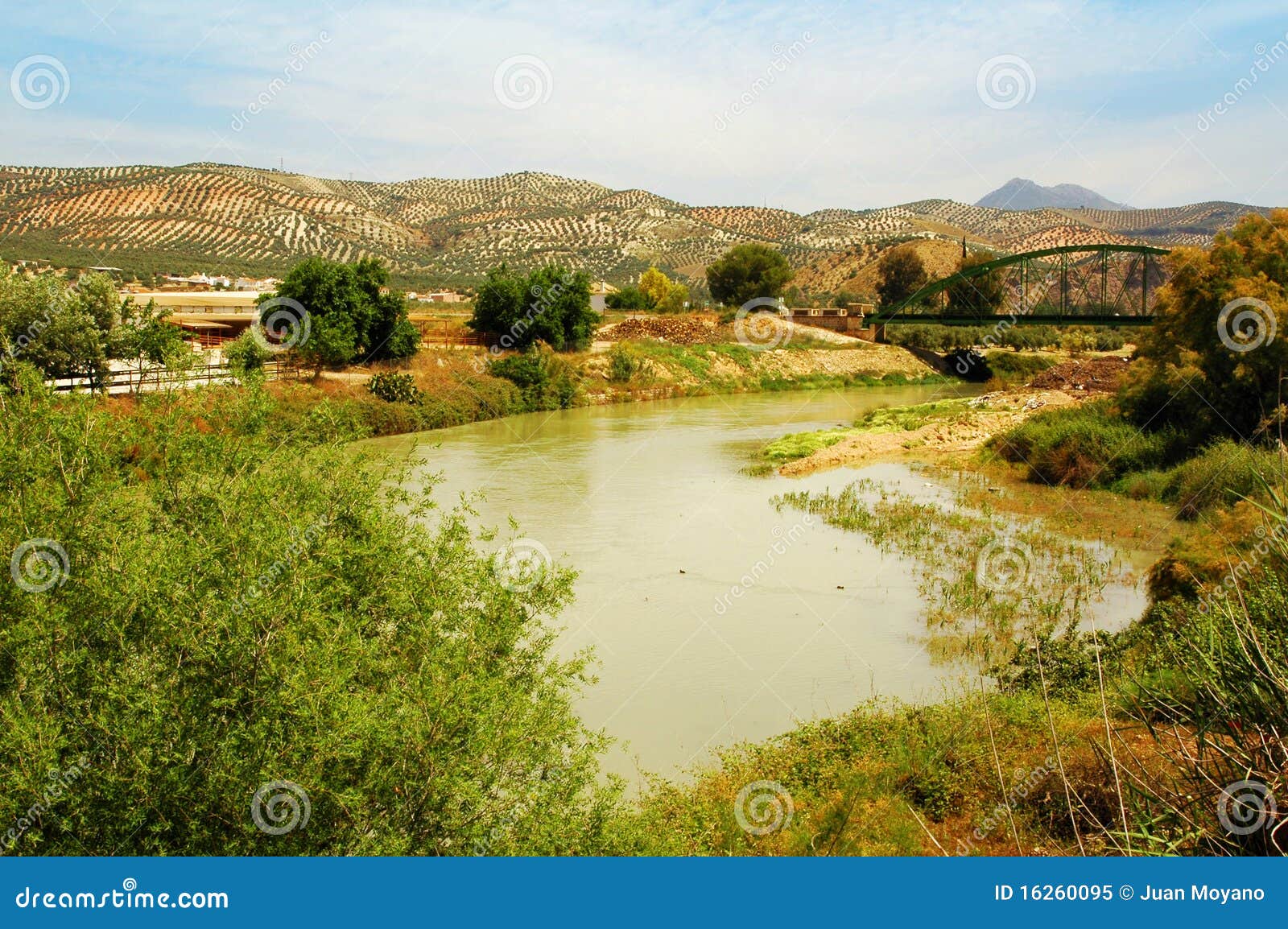 Genil river stock image. Image of lake, agriculture, horizontal - 16260095