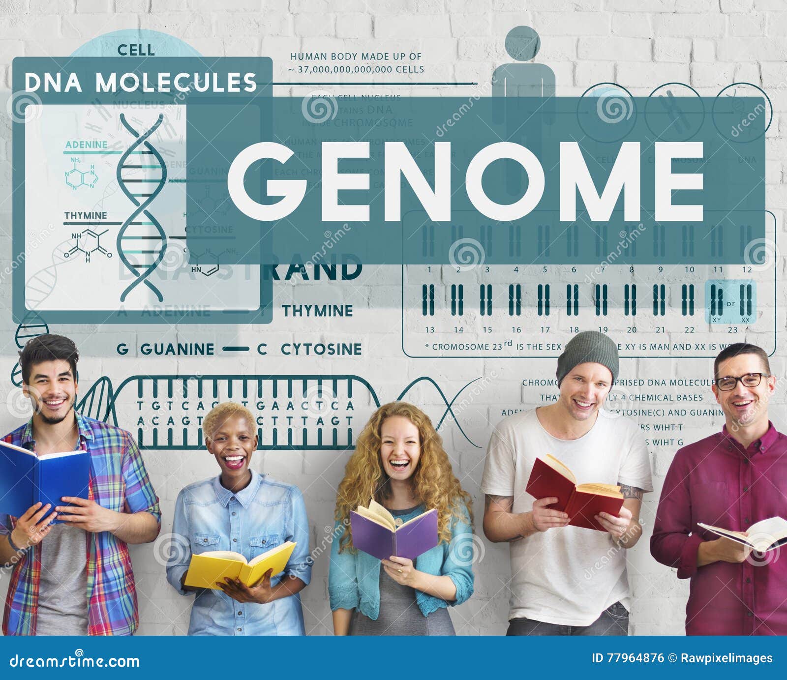 Genome Coding Biology Cell DNA Identity Stem Concept Stock Photo ...