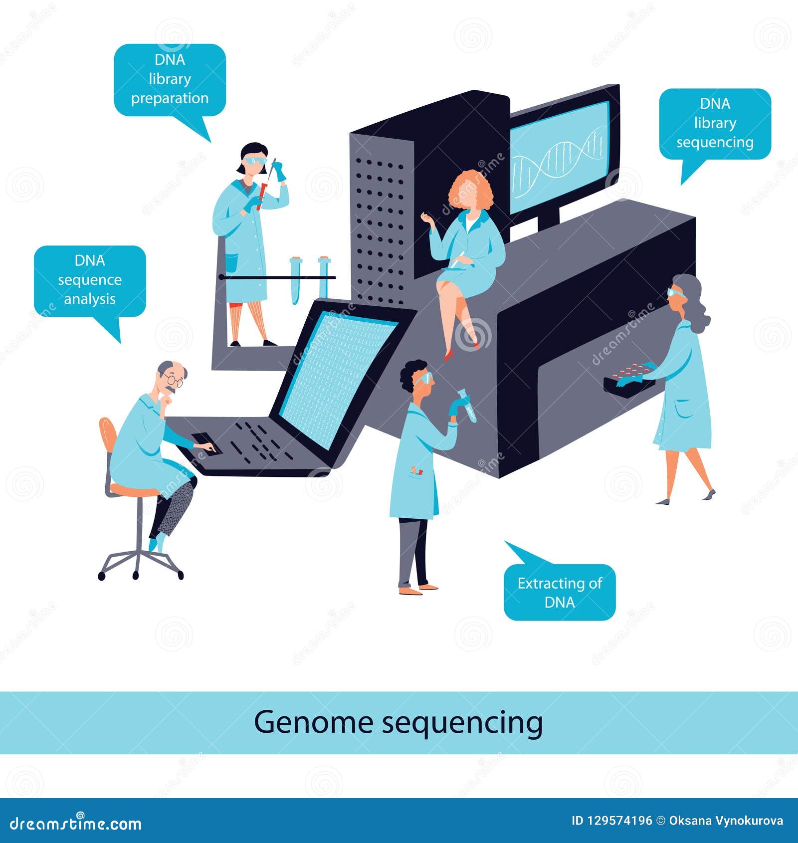 Genome Sequencing Vector Concept, DNA Test Steps Stock Vector ...