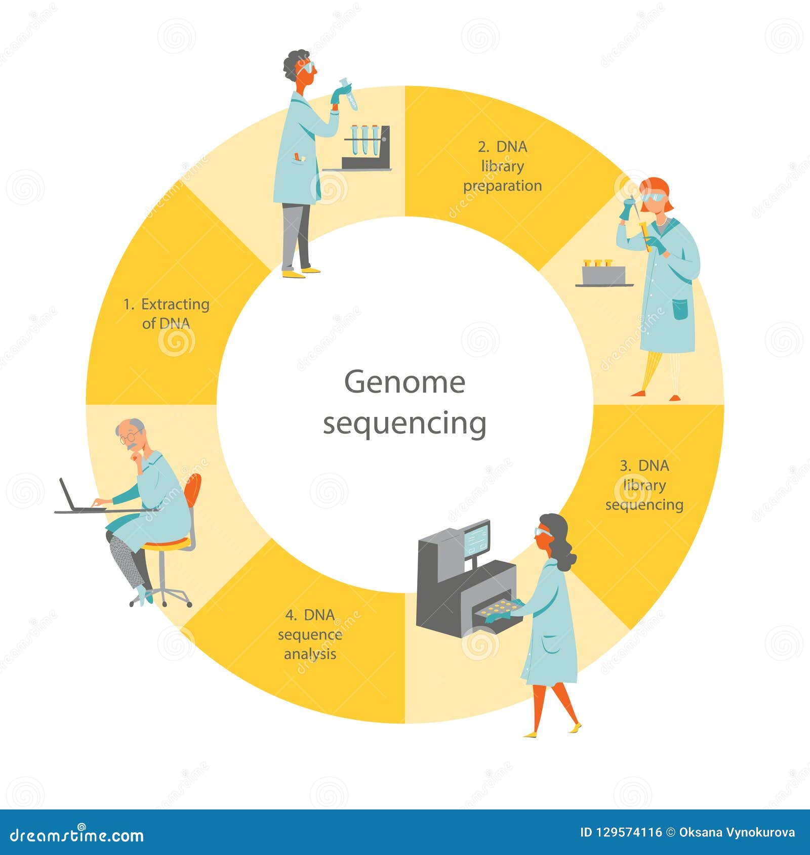 Genome sequencing workflow stock vector. Illustration of sequencing ... Genome sequencing workflow stock vector. Illustration of sequencing ...