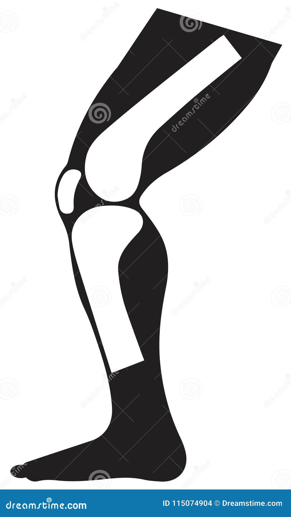 Genou humain illustration de vecteur. Illustration of santé - 115074904