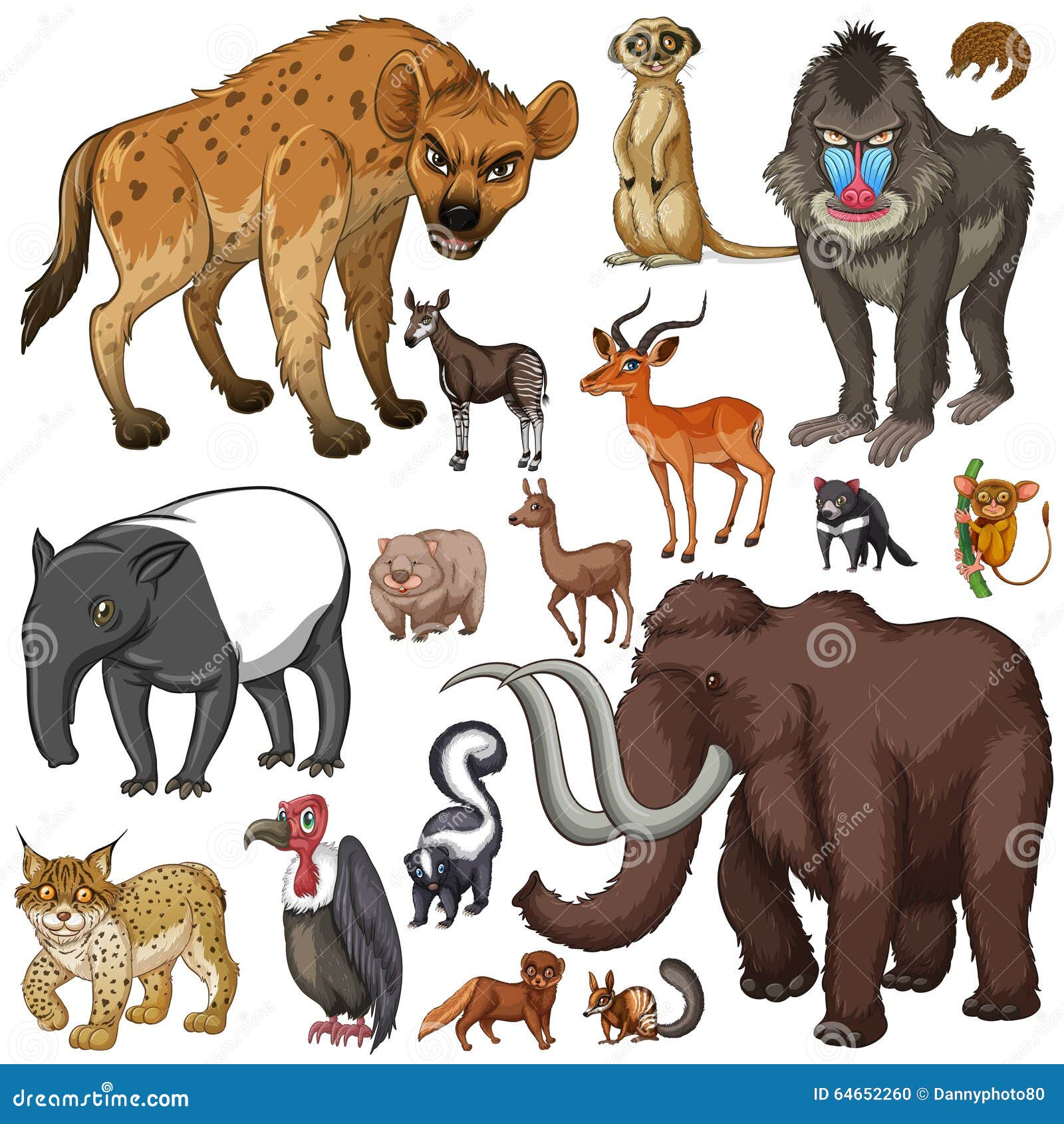 Genre Différent D'animaux Sauvages Illustration de Vecteur ...