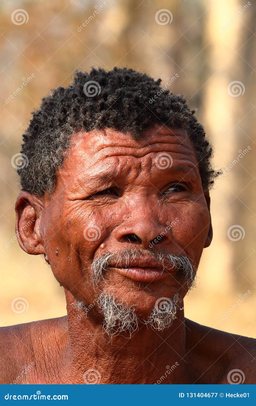 Gente De La Tribu De San En Namibia Imagen de archivo - Imagen de gente, nativos: 131404677