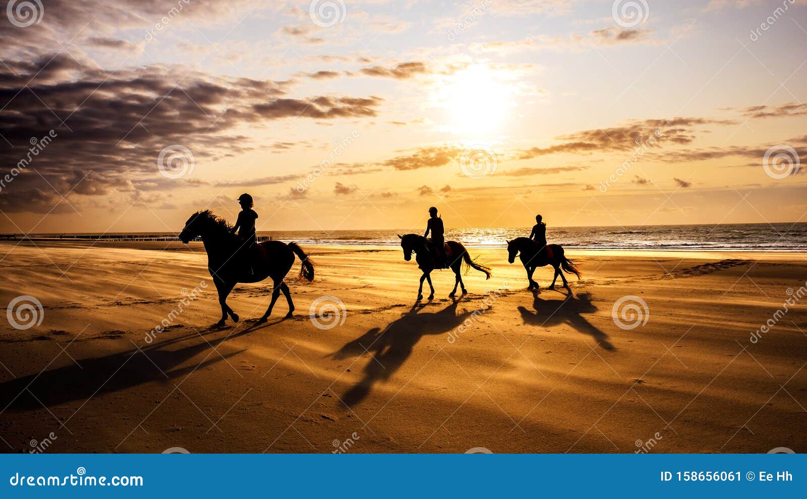 Gente Montando Caballos En La Playa Imagen de archivo - Imagen de cielo ...