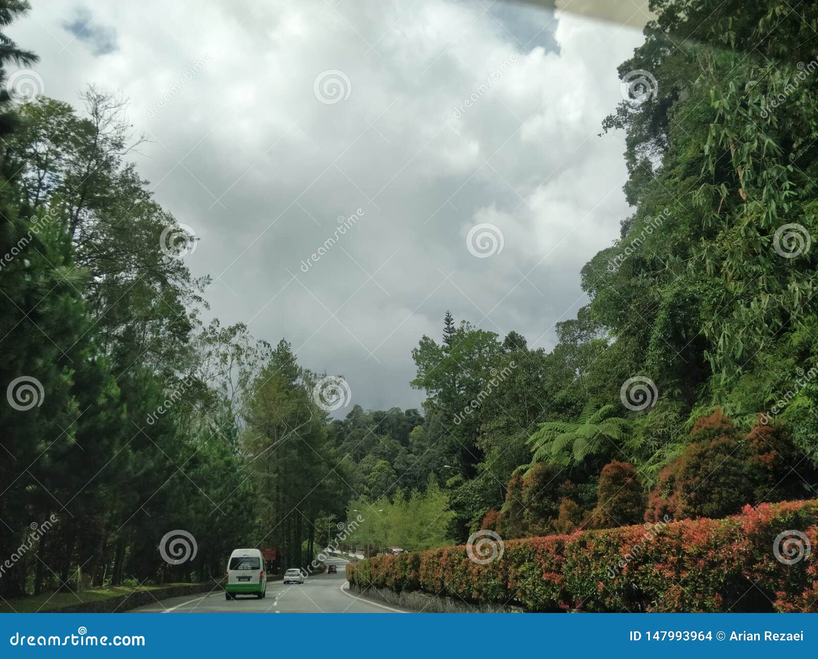 Genting Highway in Malaysia Stock Photo - Image of nature, trees: 147993964