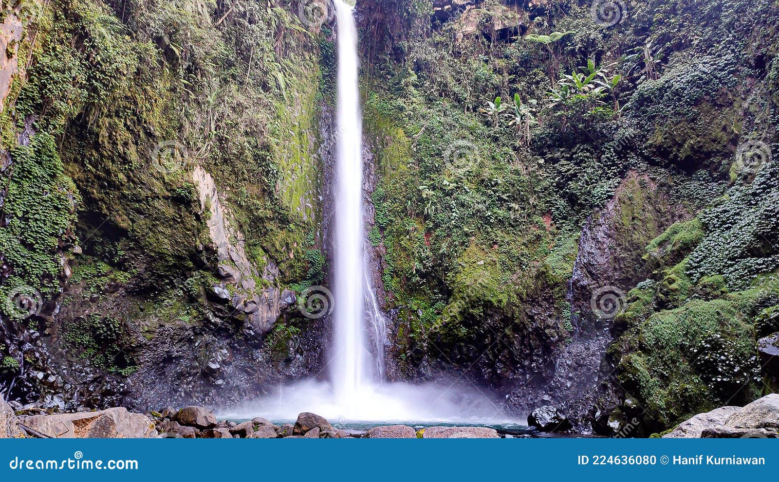 Genting Waterfall stock photo. Image of wilderness, plant - 224636080