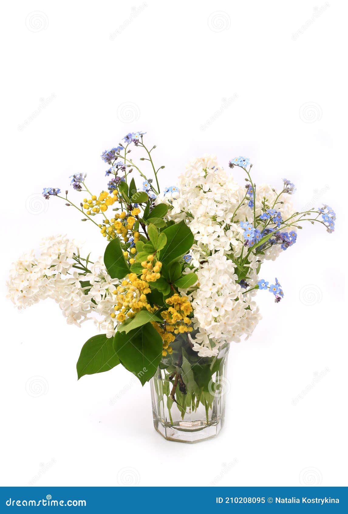 Gentle Bouquet of Spring Flowers Isolated on White Background Spring ...