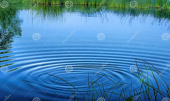 A Gentle Breeze Causing Ripples on the Surface of a Spring Lake Stock ...