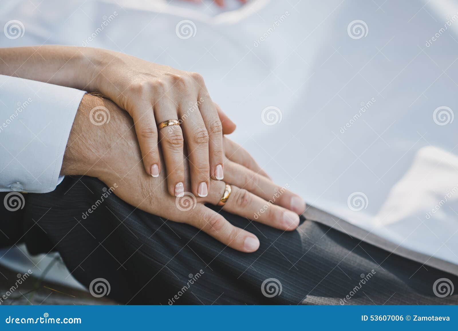 Gentle embraces 1623. stock photo. Image of white, hungry - 53607006