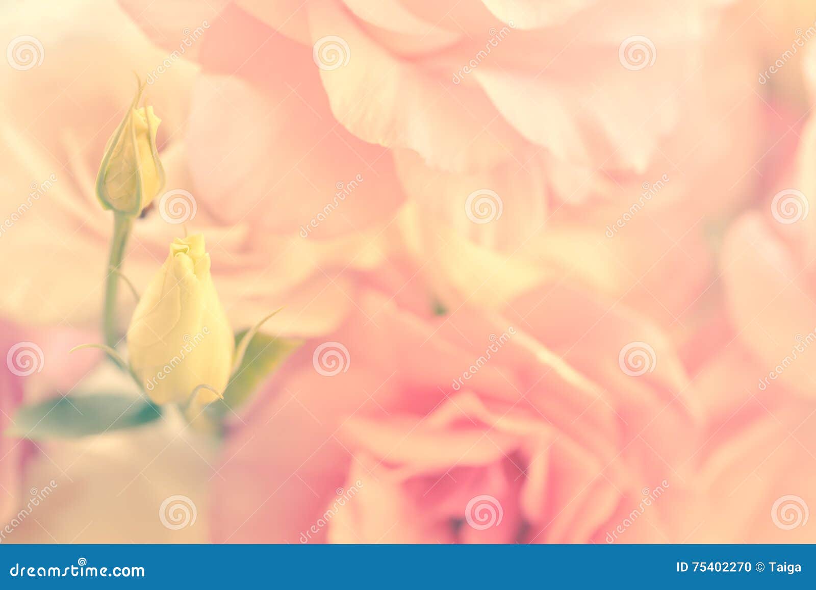 Gentle Flowers Background - Vintage Style Stock Photo - Image of pink ...