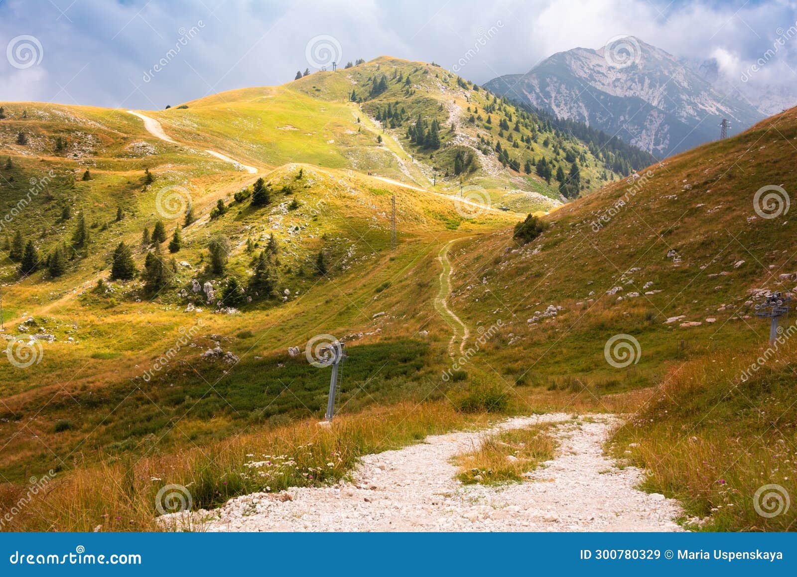 Gentle Green Hills with Trees in Summer Stock Image - Image of nature ...