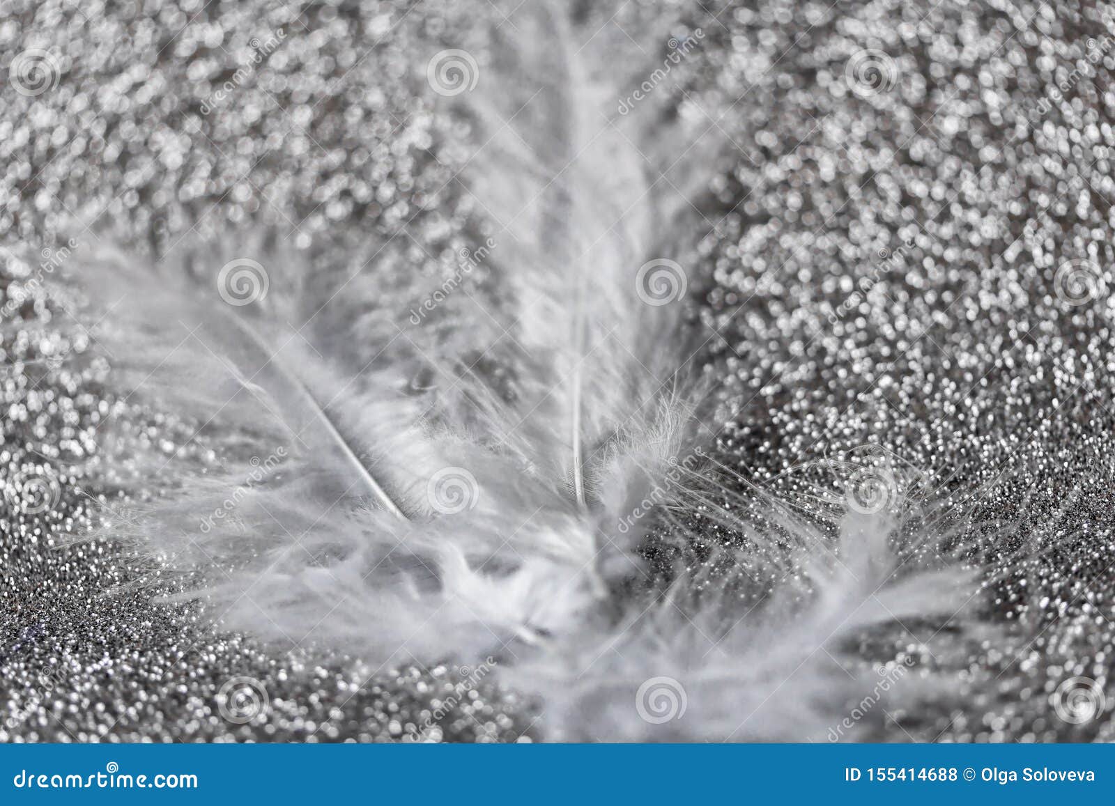 Gentle Magical Silver Background with White Feather. Macro Photo Stock ...