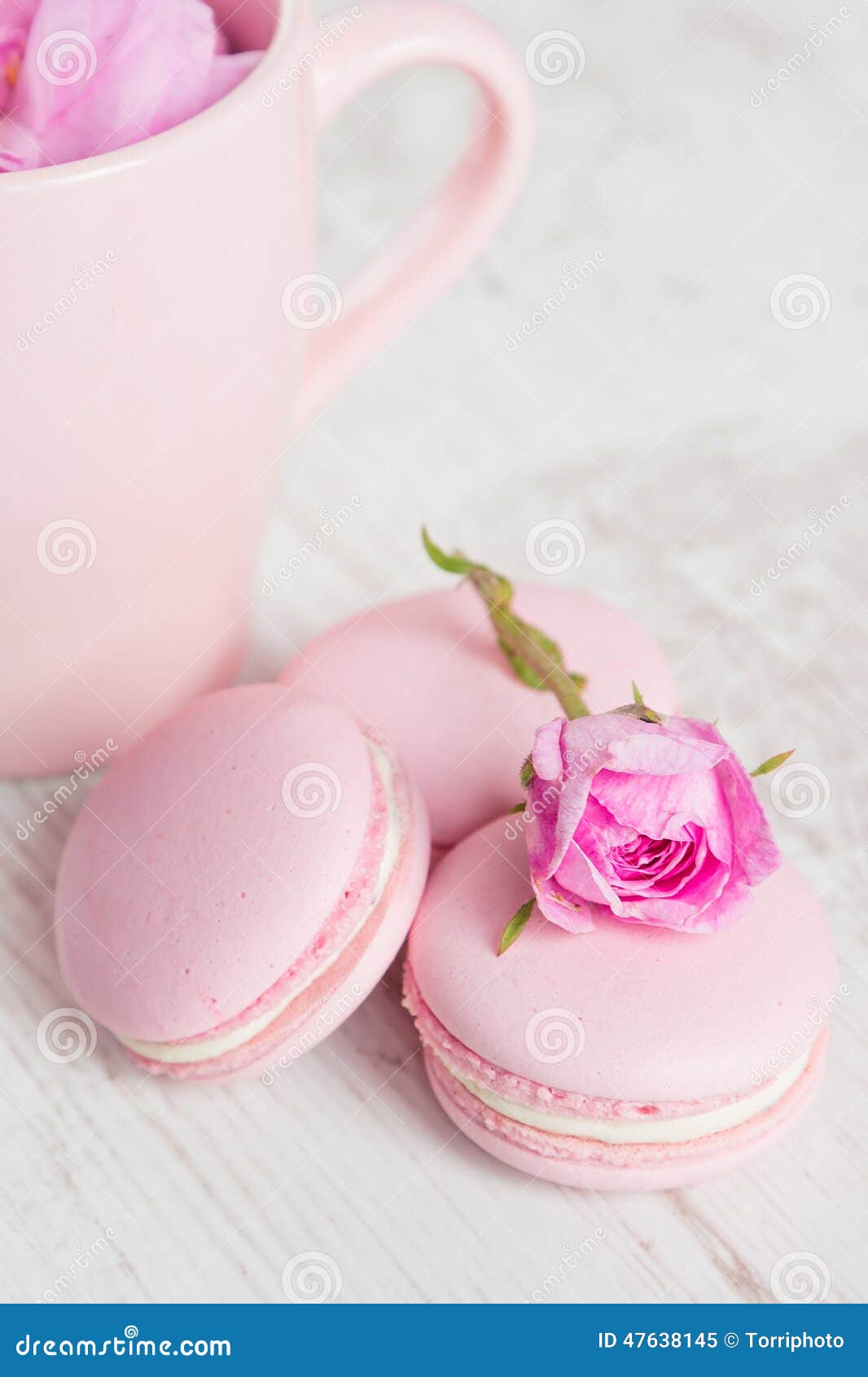 Gentle Pink Macaroons with Rose Stock Image - Image of confectionery ...