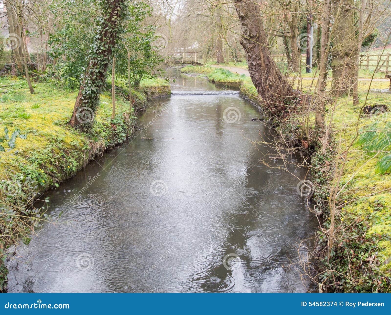 Gentle Rain stock photo. Image of rain, flow, pattern - 54582374