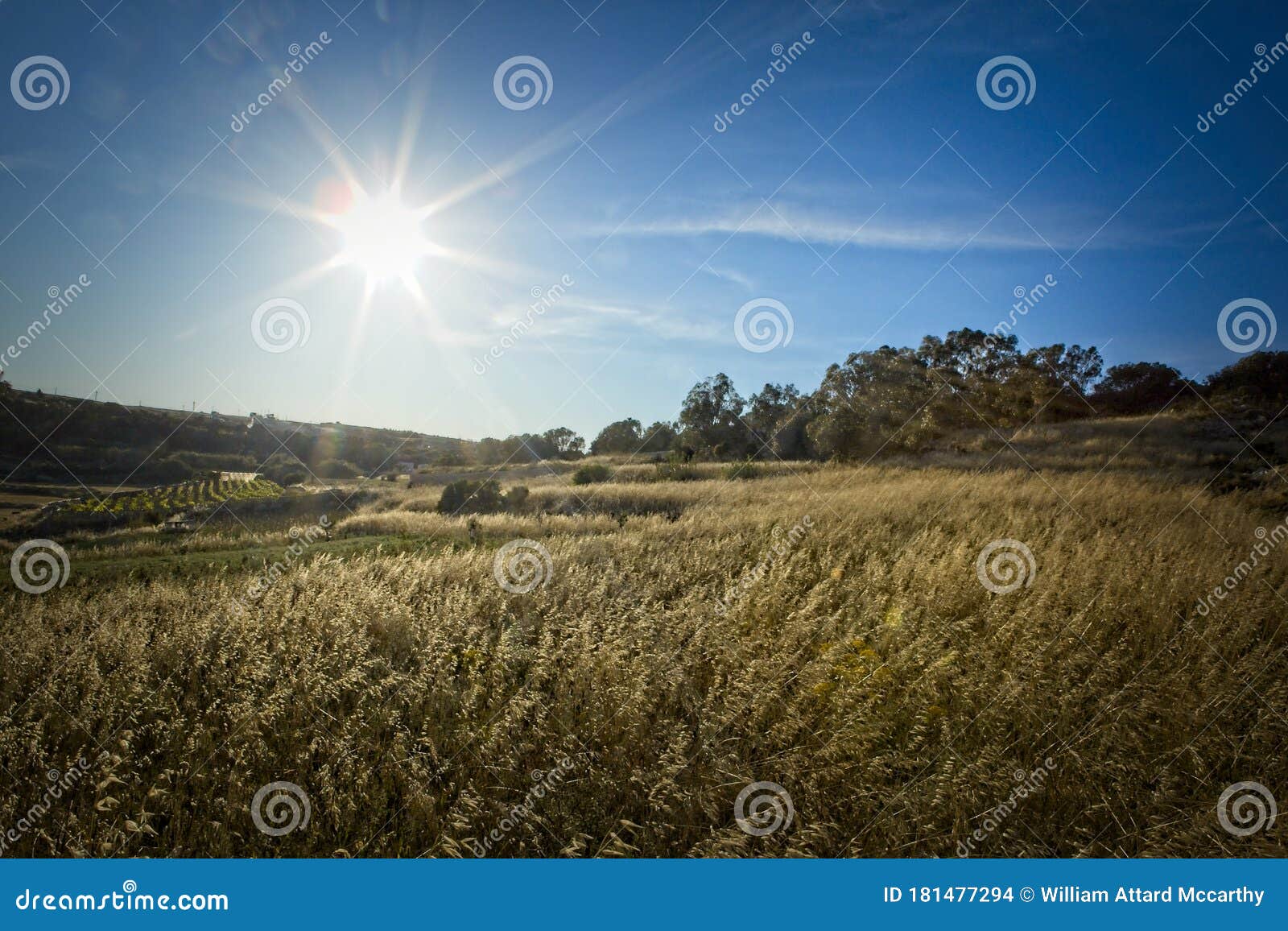 Gentle Sloping Fields in Malta Stock Photo - Image of mediterranean ...