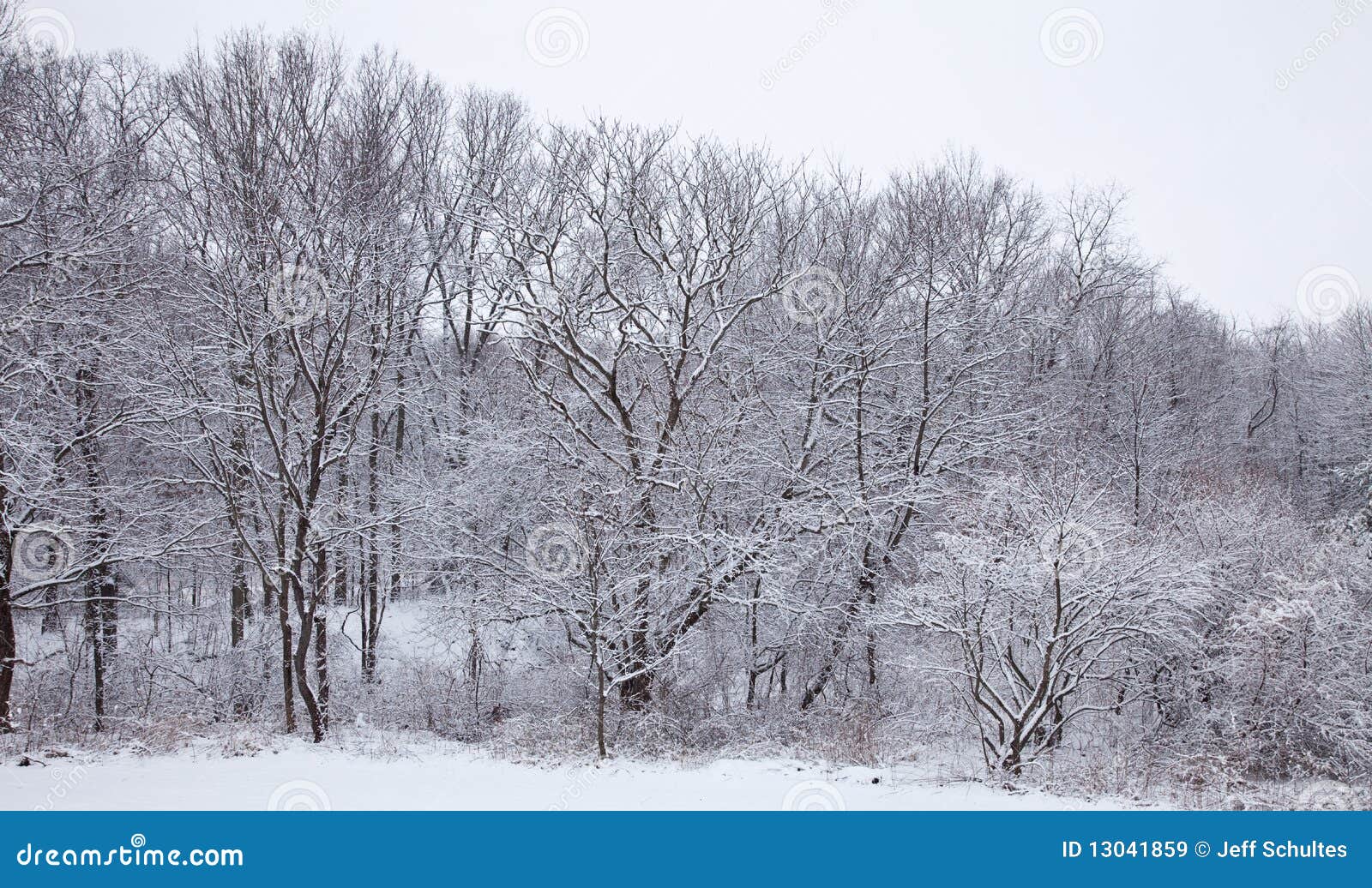 Gentle Snow stock image. Image of snow, morning, season - 13041859
