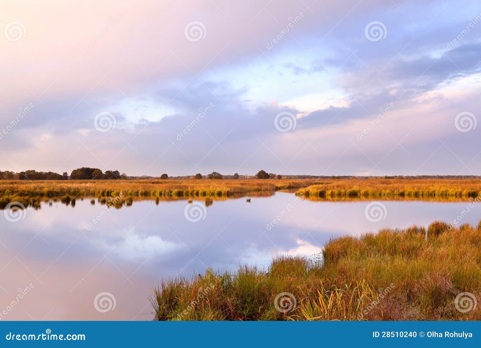 Gentle Soft Sunrise Over Swamp Stock Photo - Image of countryside ...