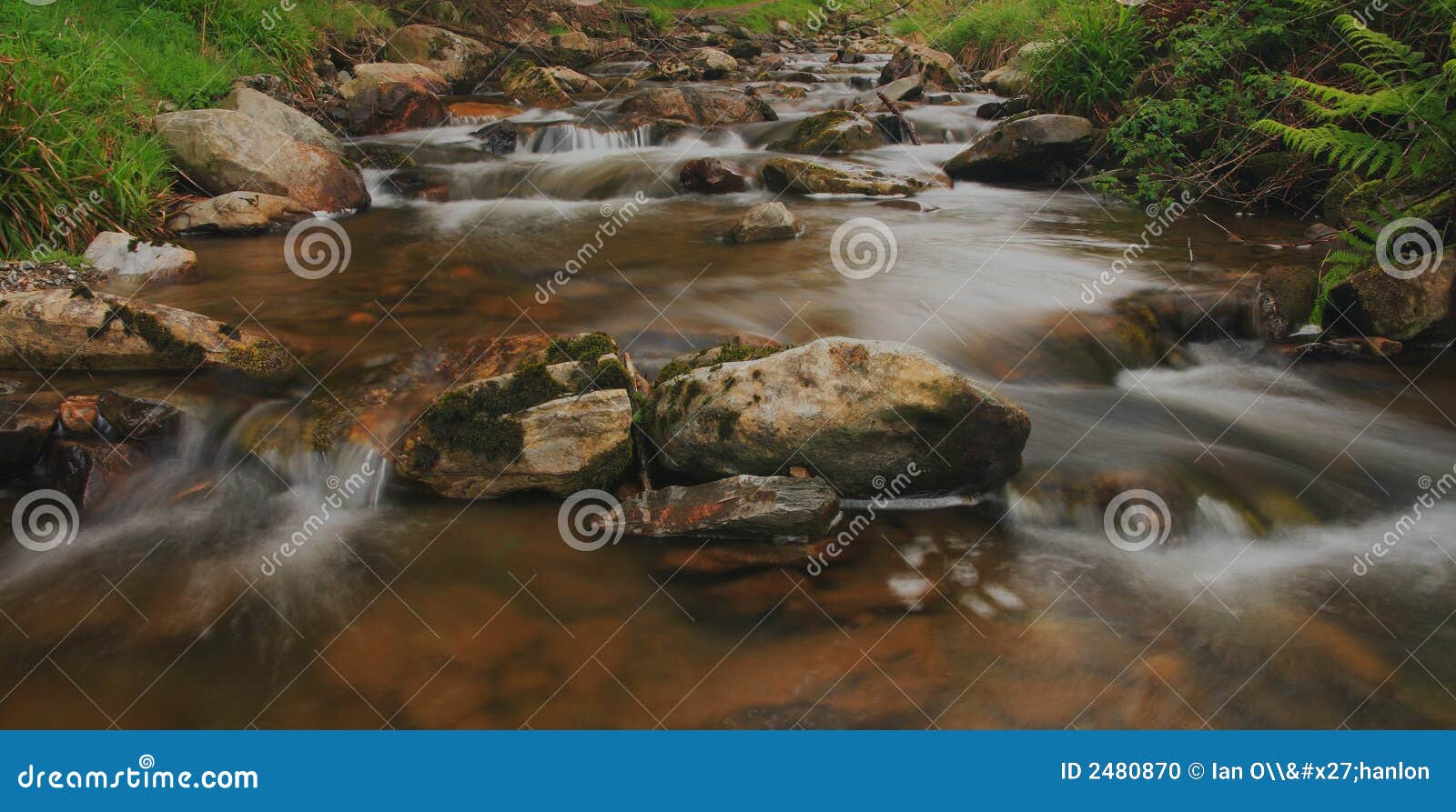 Gentle stream stock photo. Image of tranquility, rocks - 2480870