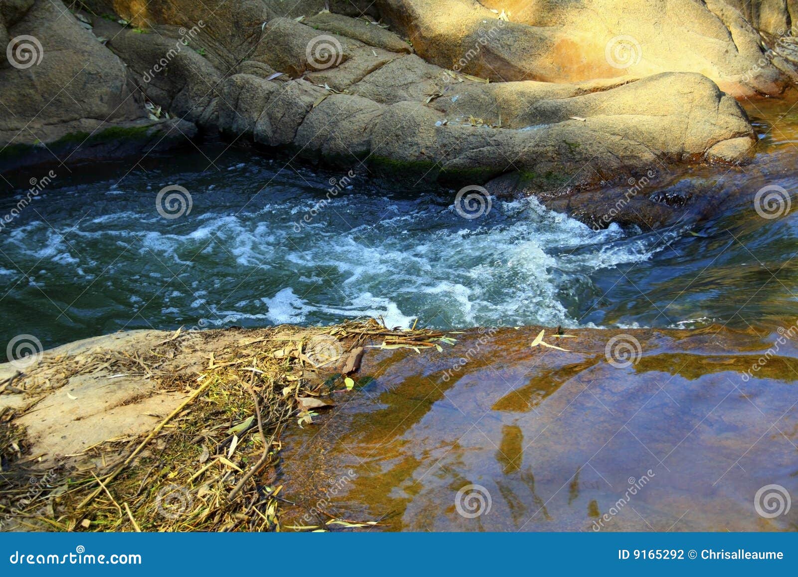 Gentle Stream stock photo. Image of natural, background - 9165292