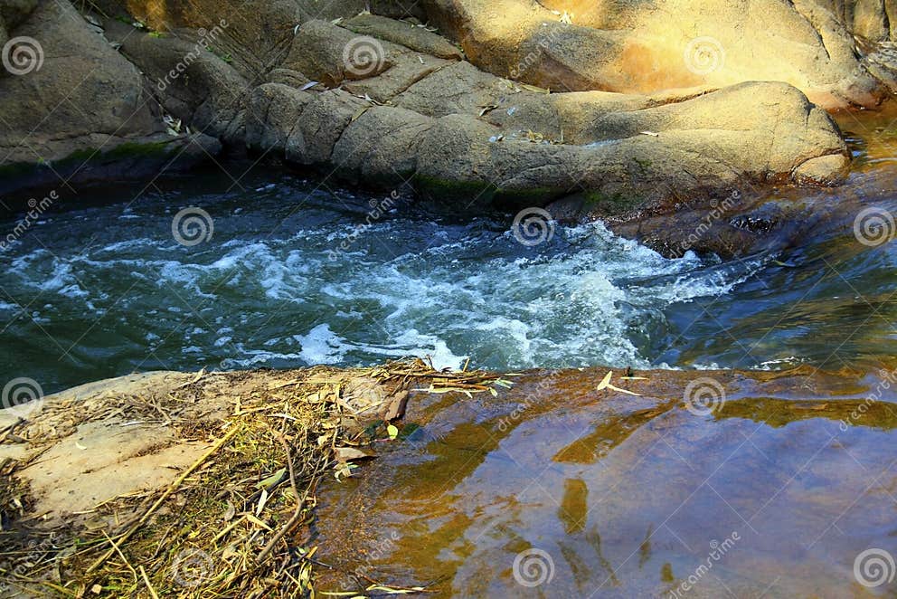 Gentle Stream stock photo. Image of natural, background - 9165292