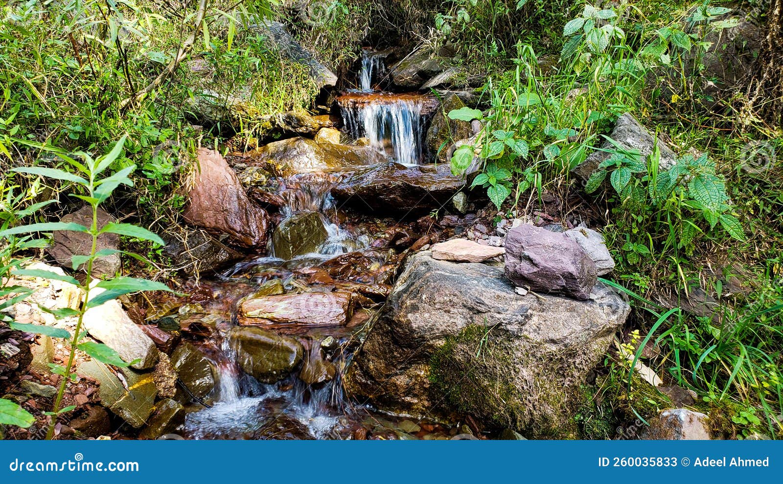 Gentle Stream of the Forest Stock Image - Image of woodland, pond ...