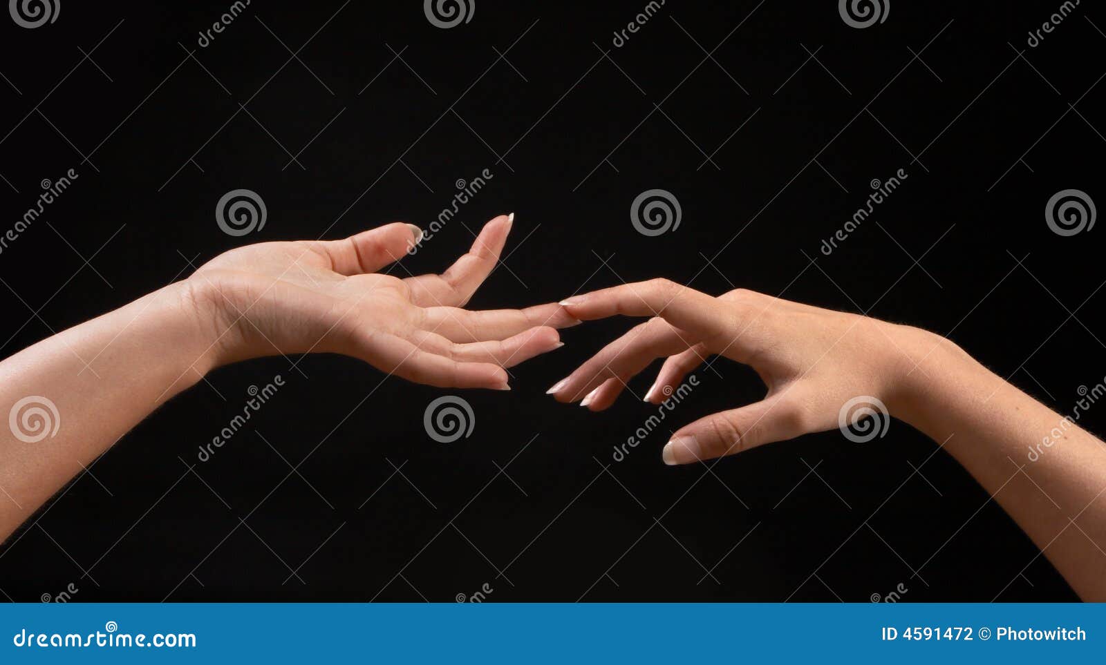 Gentle touch stock photo. Image of tenderness, elegant - 4591472