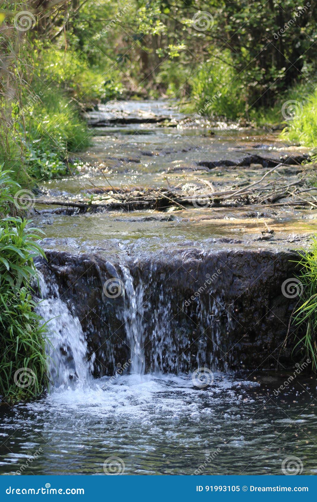 Gentle Waterfall stock image. Image of creating, waterfall - 91993105