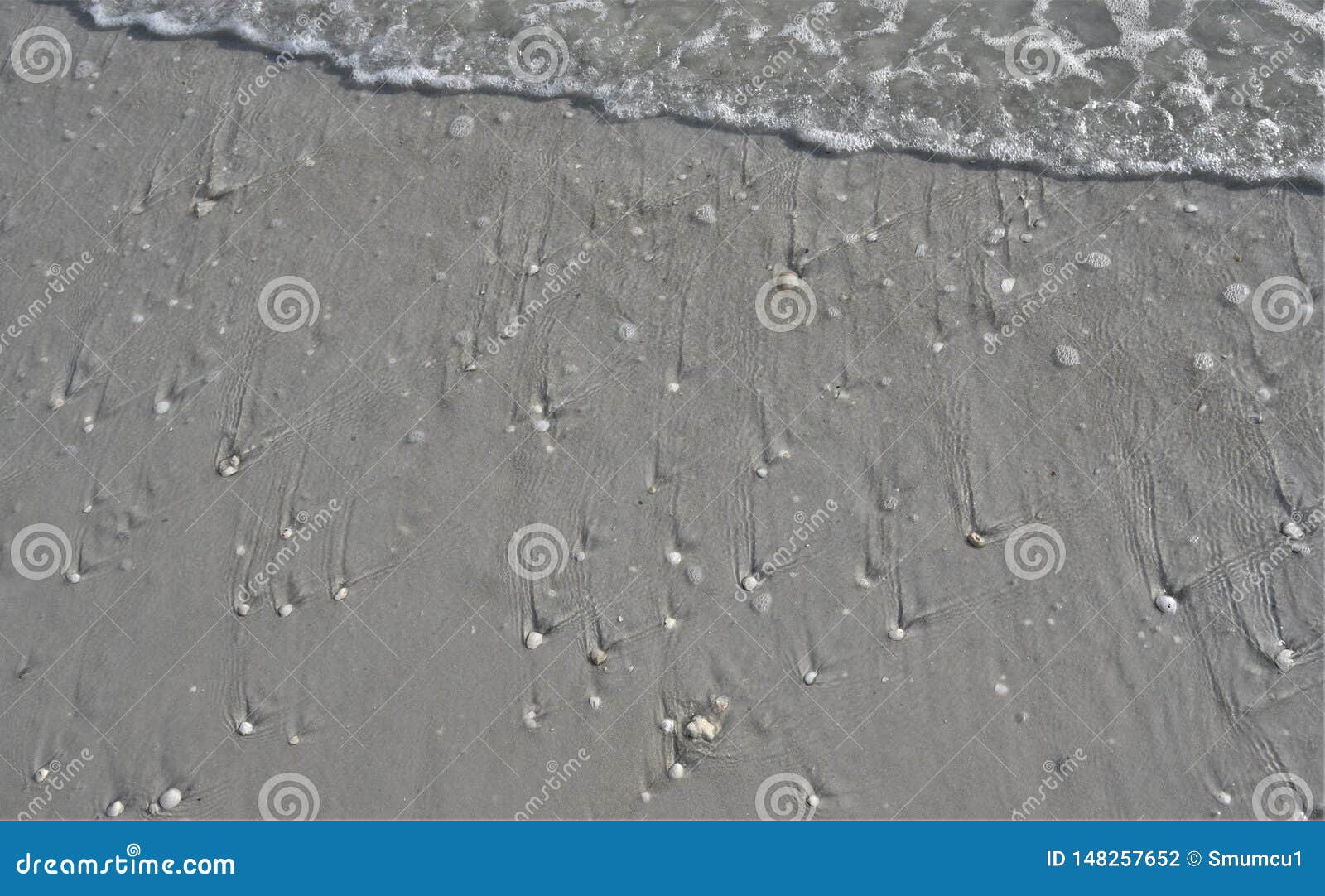 Gentle Waves Rolling Over Sea Shells Creating Artistic Figures Stock ...