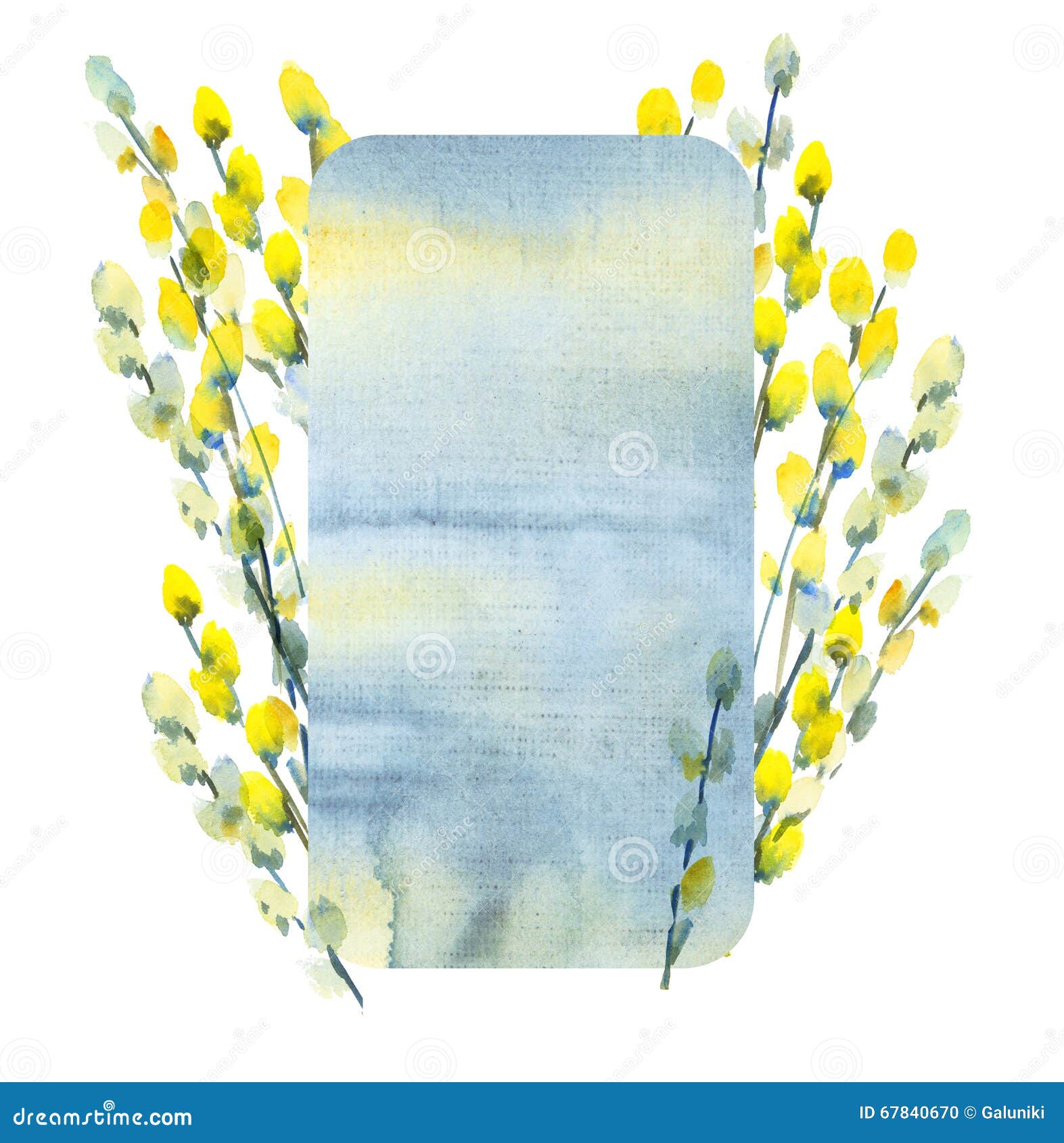 Gentle willow blossom stock illustration. Illustration of natural ...