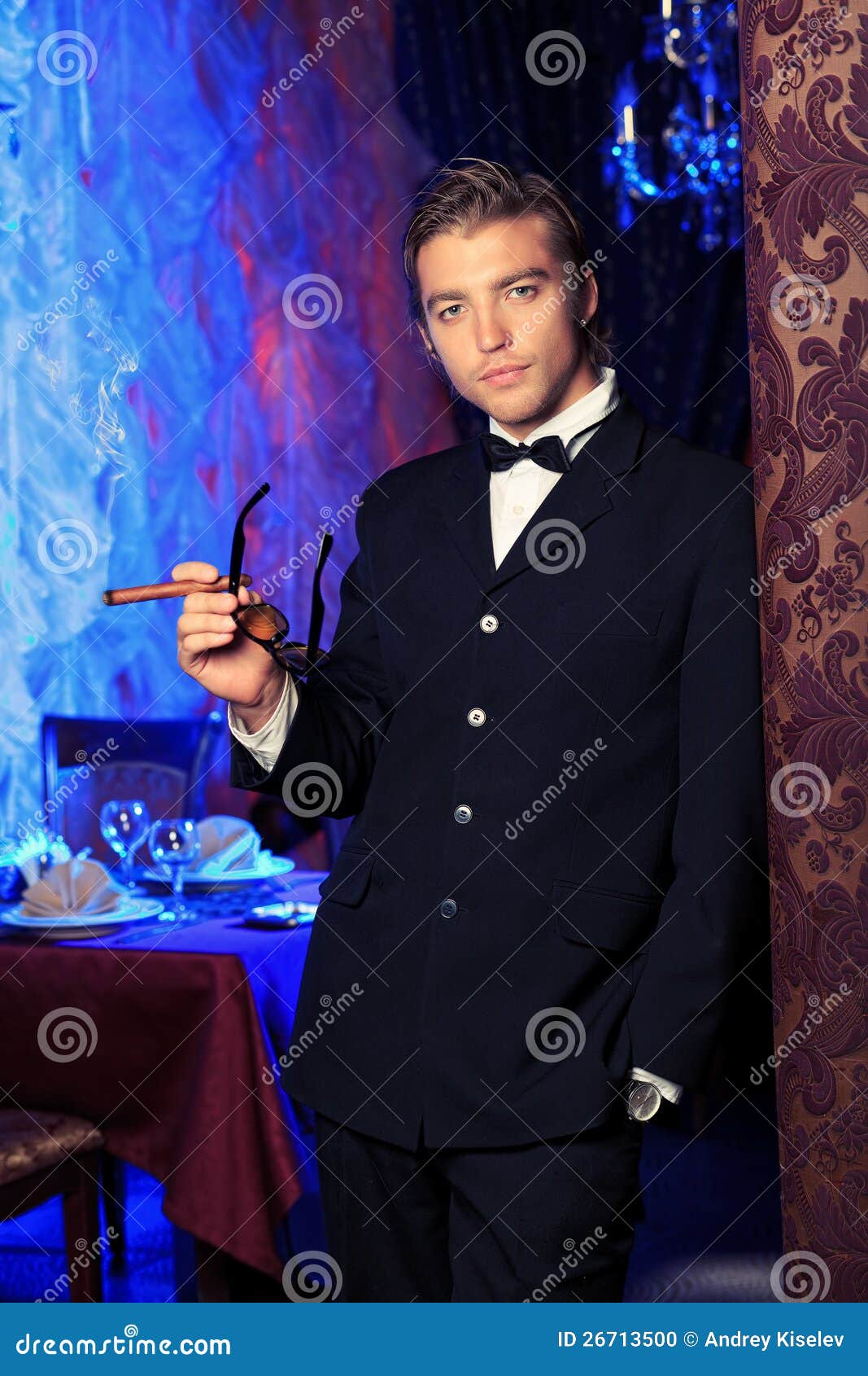 Gentleman stock photo. Image of portrait, interior, charming - 26713500