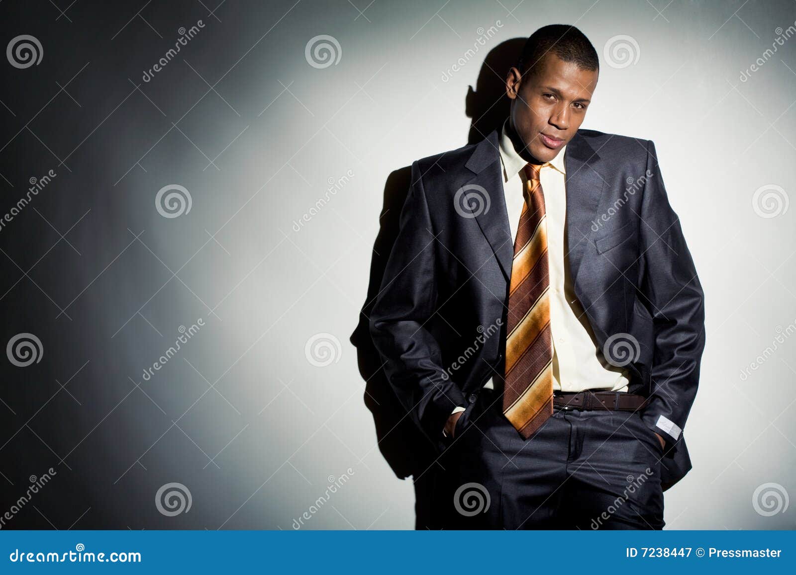 Gentleman stock image. Image of collar, career, light - 7238447