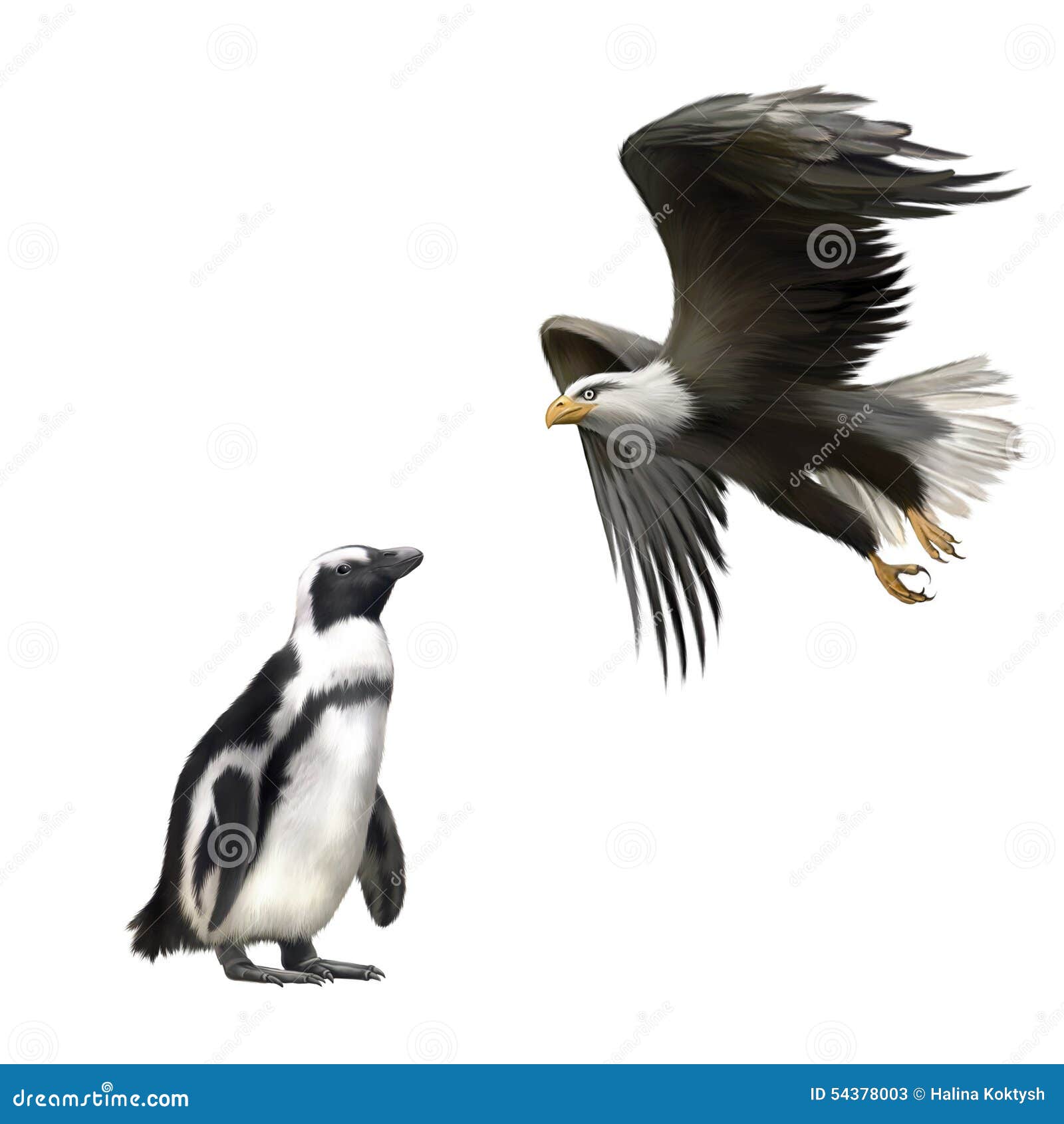 Gentoo Penguin. Adelie Chinstrap Bird. Vector Graphics Black And White Drawing. Hand Drawn ...